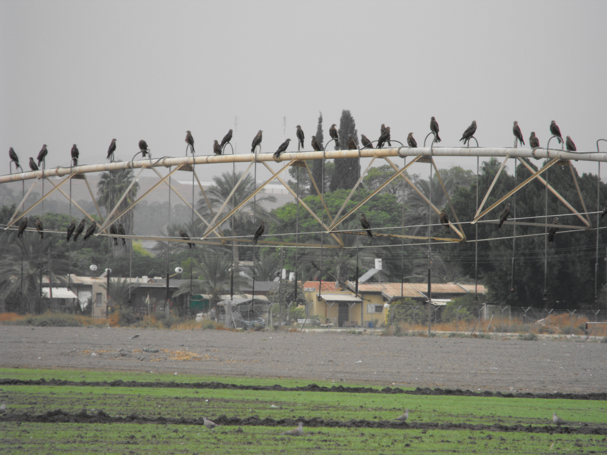 Bird Watching Center - Jordan Valley Center